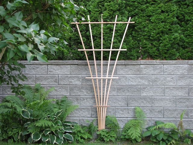 Fan Trellis 8' - Red Cedar – Valley Wood Reman